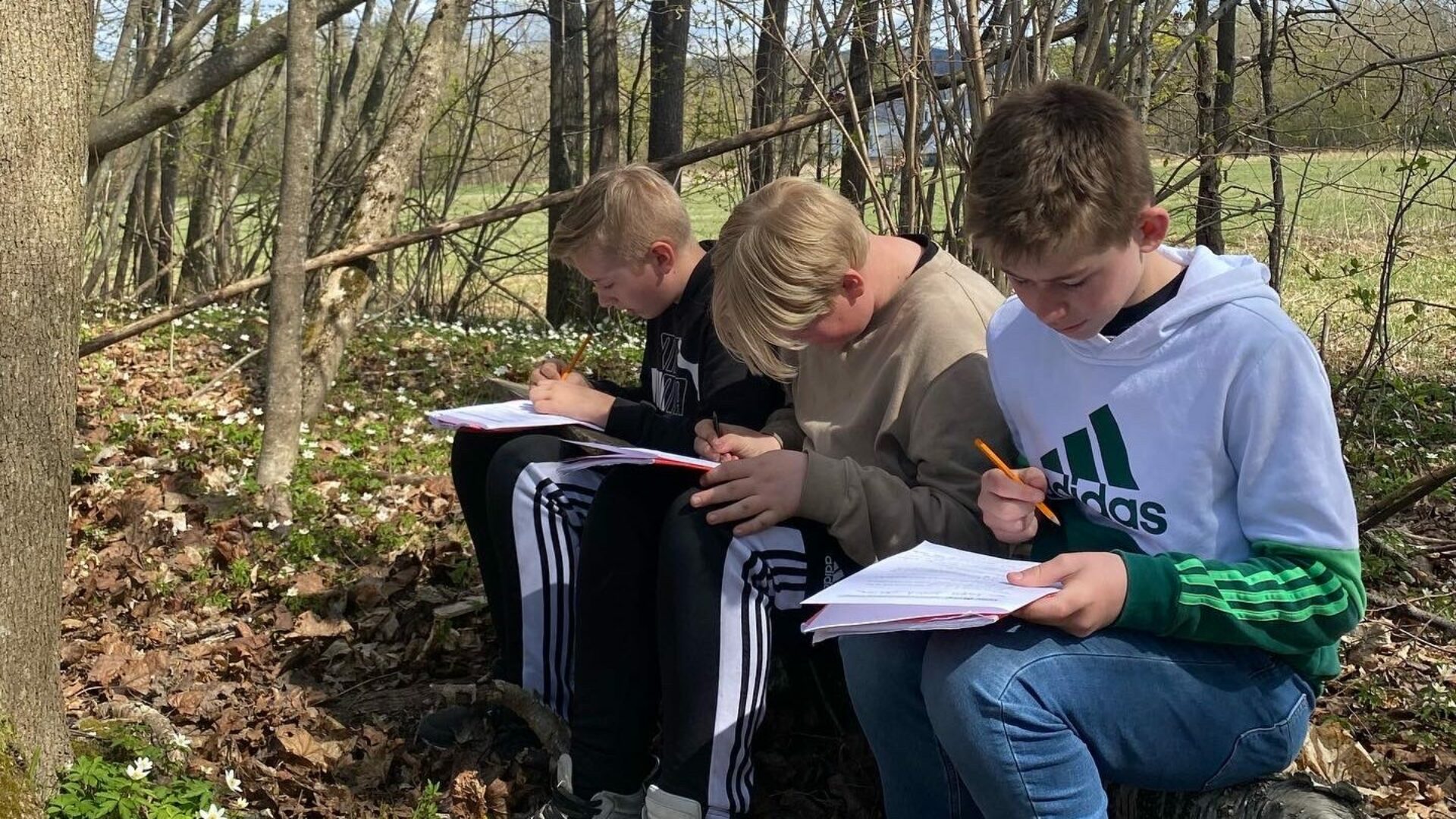 Observasjonsoppgave i 8. klasse – DELK